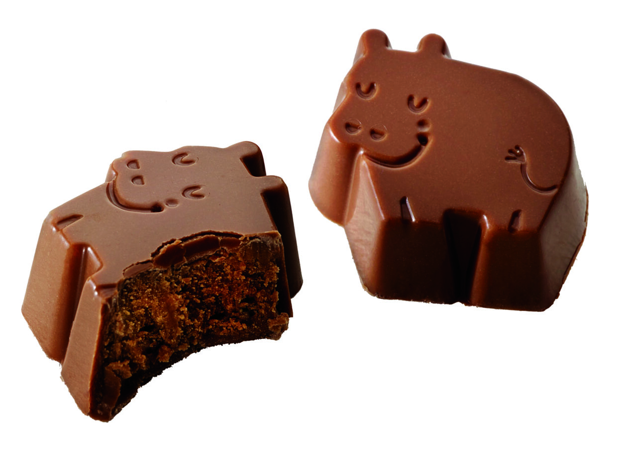 Barú Chocolate - Belgium's Chocolate Source
