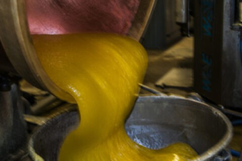 Napoleon Sweets - Belgium's Chocolate Source